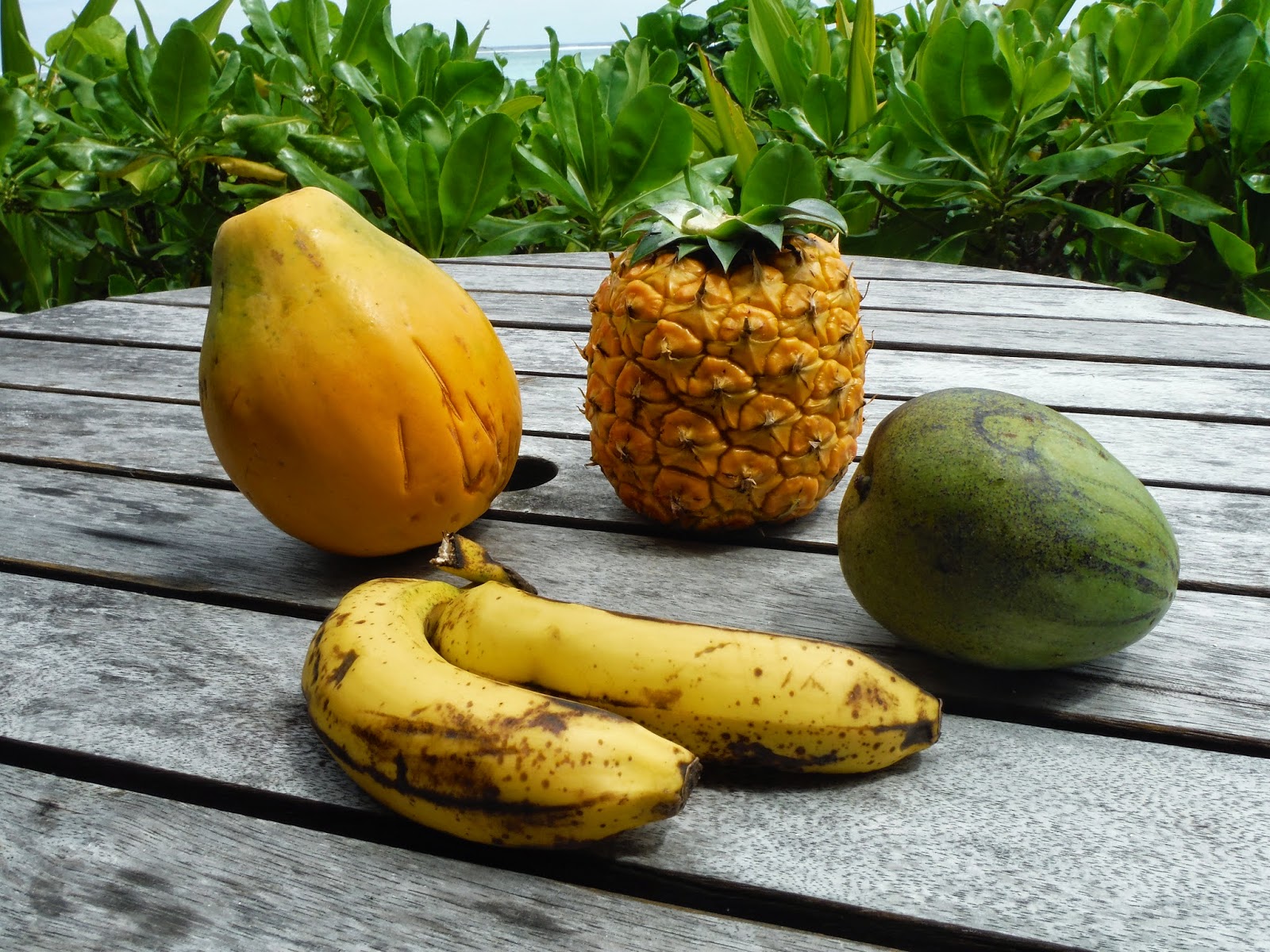 Ramirez Family: RAROTONGA, COOK ISLANDS FLORA AND FAUNA