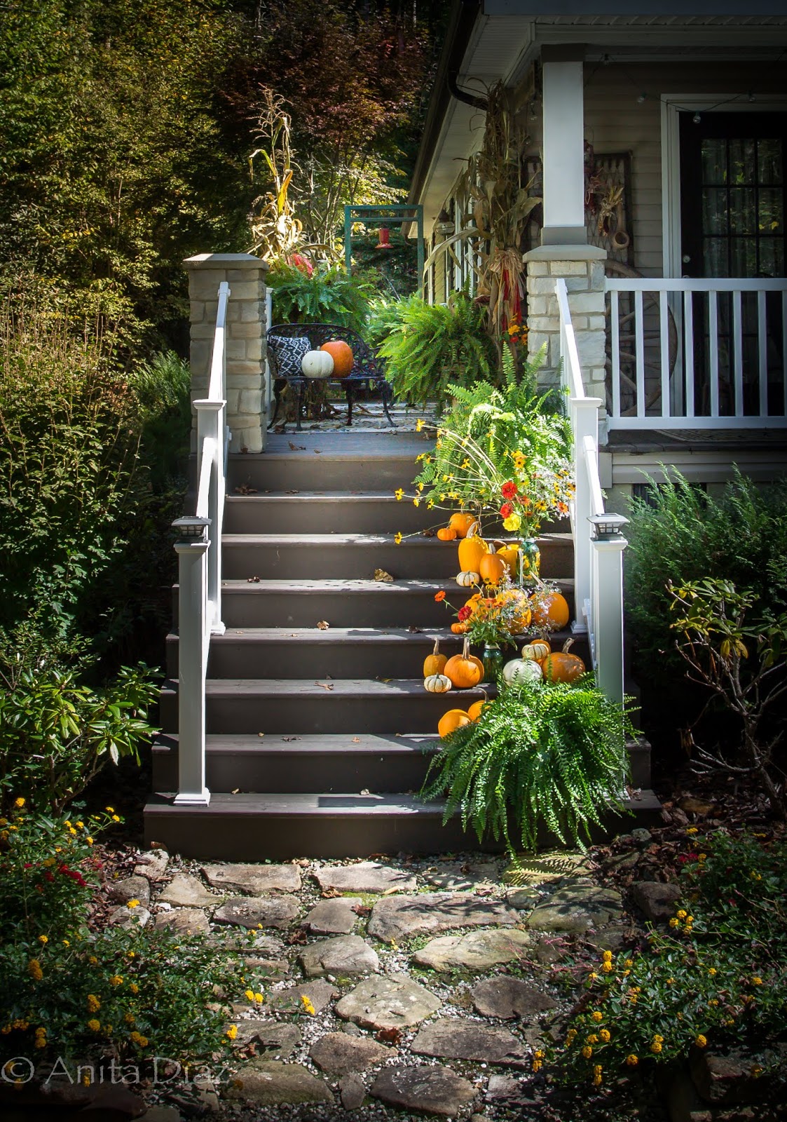 Mountain farmhouse fall steps - Whispering Pines Homestead