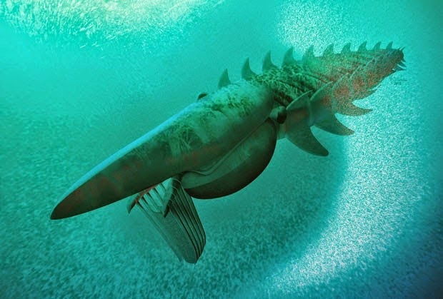 Arquivo Misterioso: Descoberto monstro marinho que viveu há 480 milhões ...