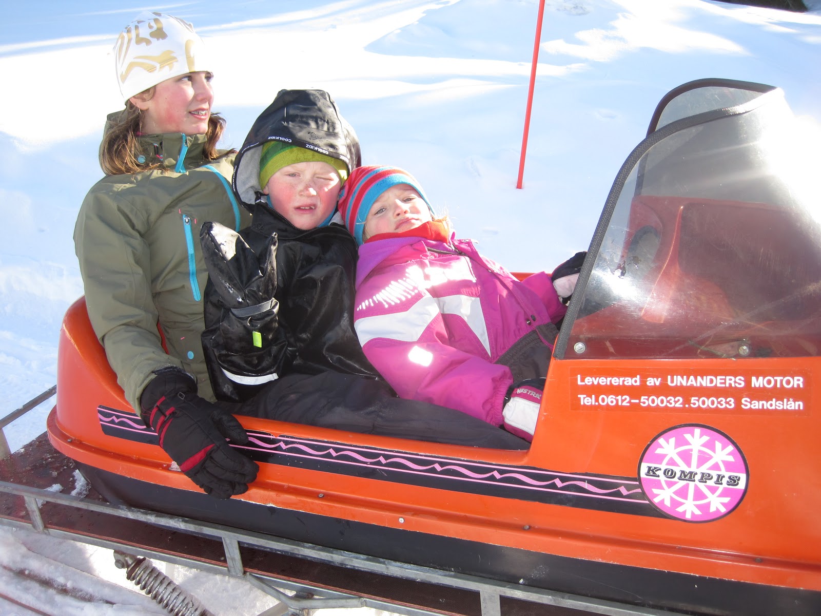 Maria Hasse Hjalmar Viola