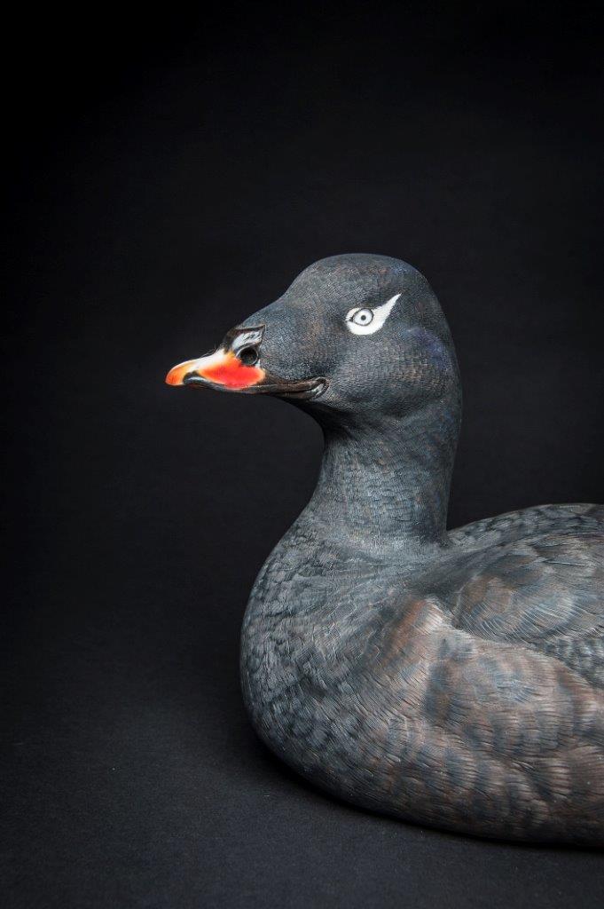 Wayne Simkin - Two-time World Champion Wood Carver - Travels With Birds