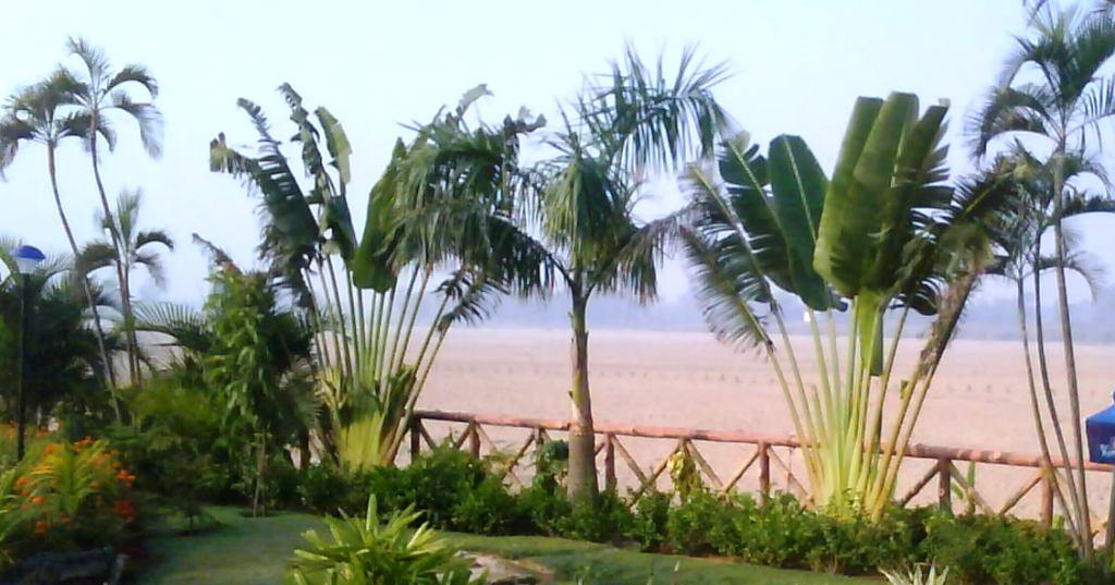 Falgu: The Hidden river