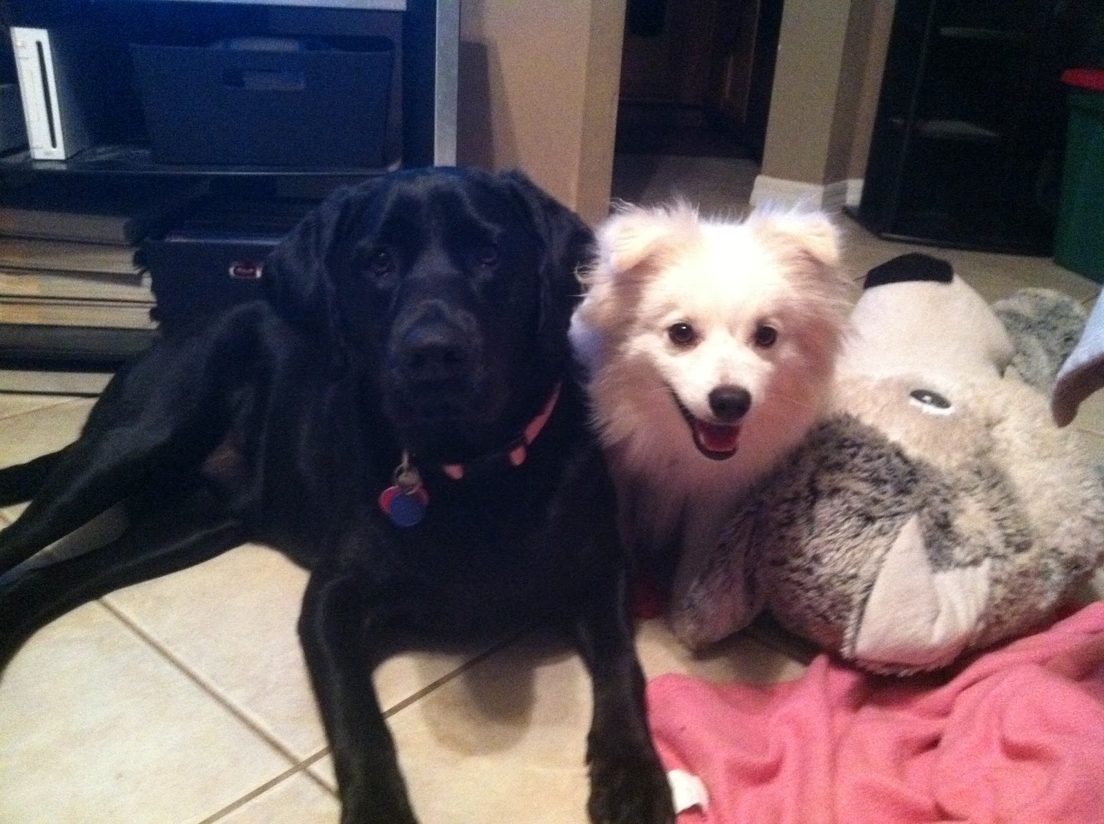 Sweet Kindergarten: Dog Theme (and a freebie!)