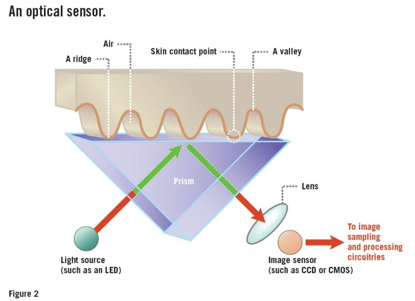 What Is Fingerprint Sensor Technology How Does Fingerprint Sensing Work What Is Fingerprint Sensor Technology How Does Fingerprint Sensing Work