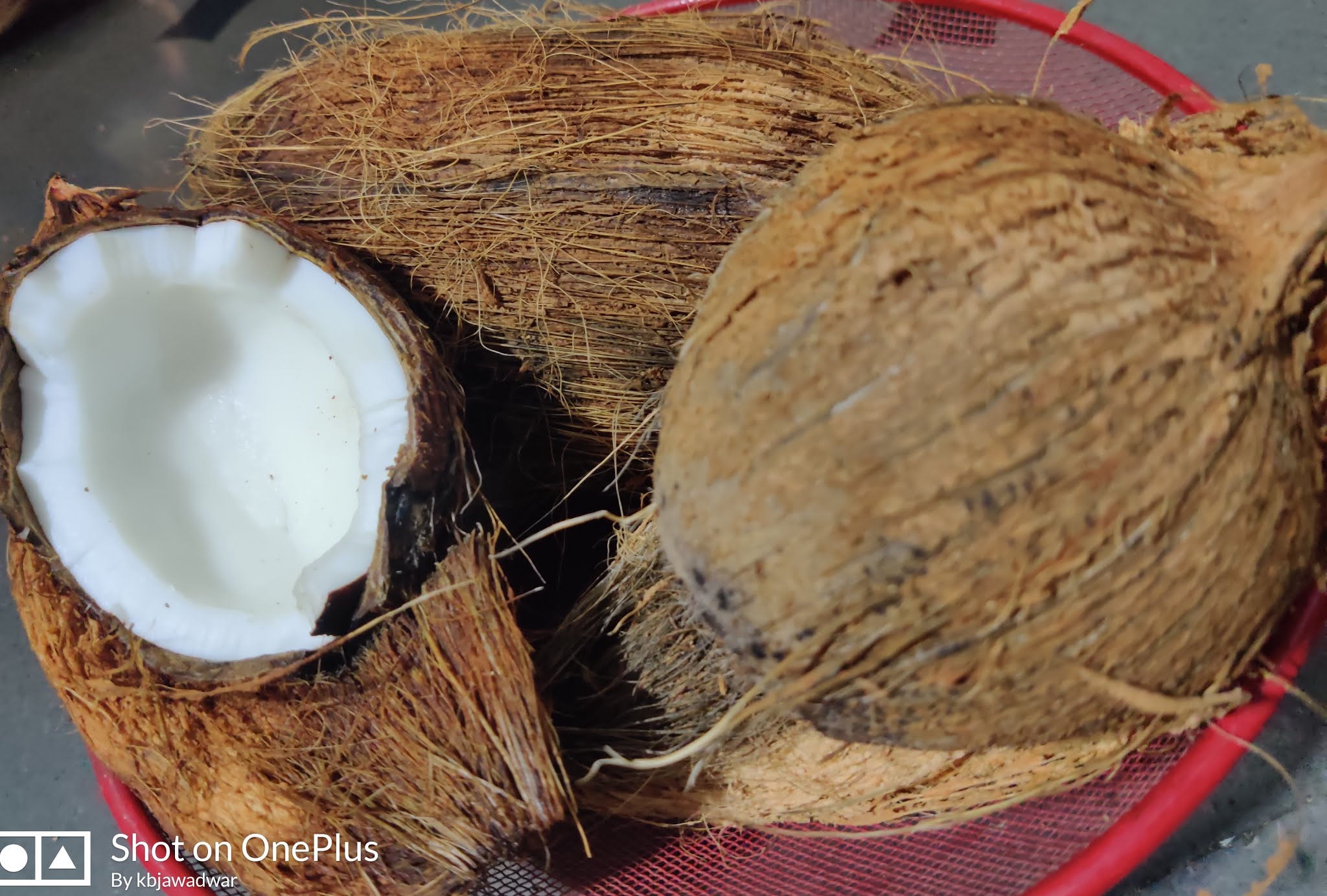 coconut tree(Cocos nucifera) - Ayurvedic remedies, Health benefits ...