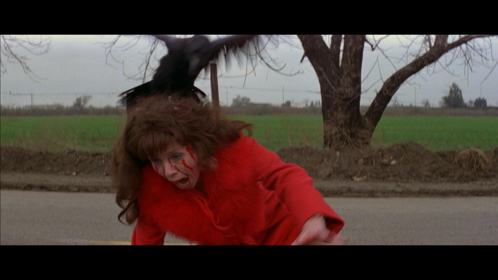 HORROR 101 with Dr. AC: DAMIEN: OMEN II (1978) Blu-ray Review