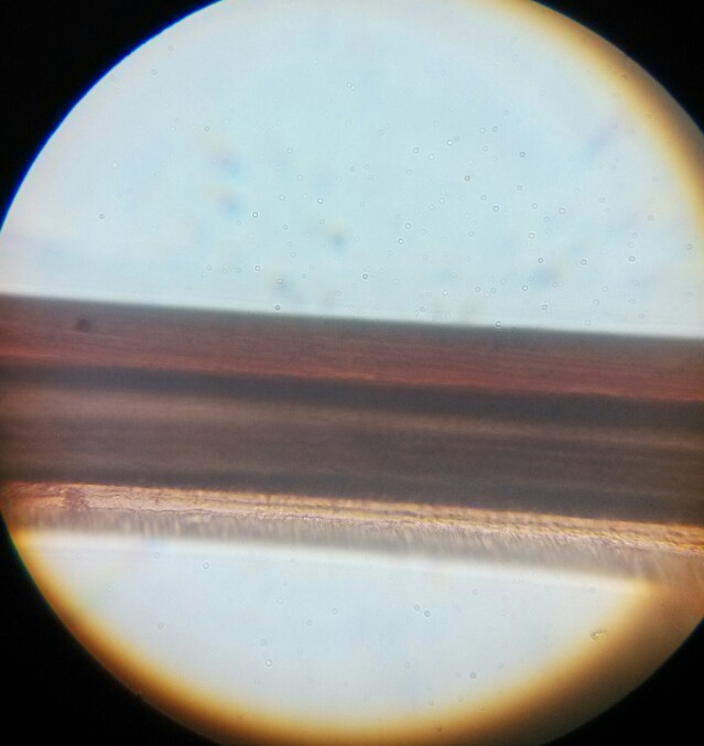 Biology Photos: Copper cables