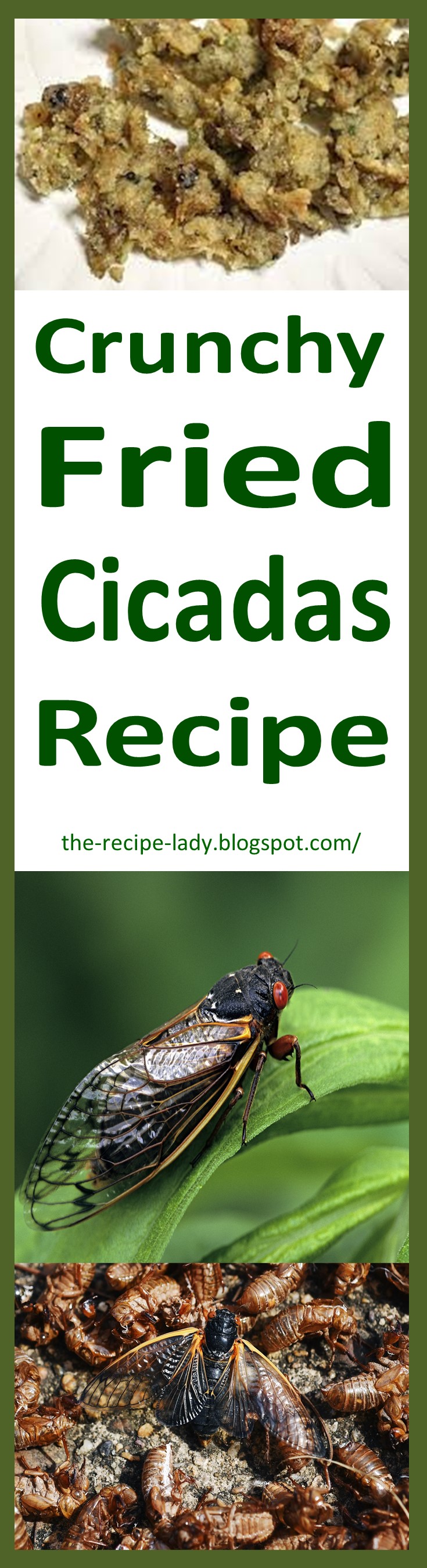 The Recipe Lady Satisfy Your Cravings with Our Recipes: Crunchy Fried ...