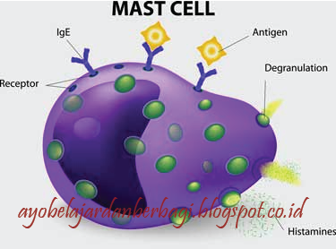Ayo Belajar dan Berbagi