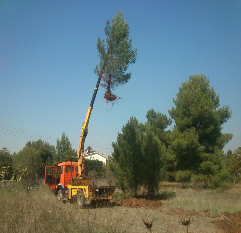 Γερανοι-παπαγαλοι Μεταφορες Ανυψωτικο θεσσαλονικη: Γερανοι παπαγαλοι