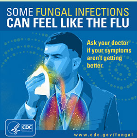 Avian Flu Diary: CDC: Candida auris Update & Fungal Awareness Week 2019