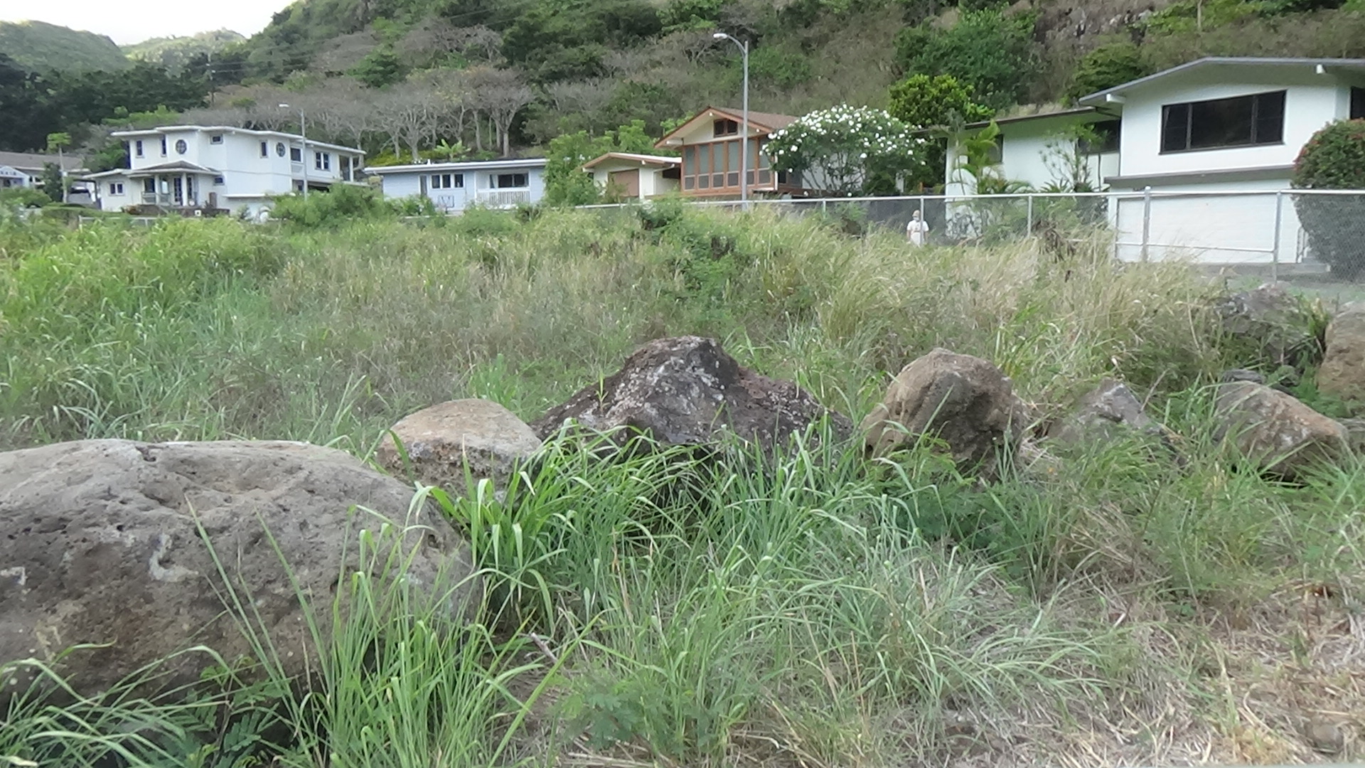 Waialae streams and a Kapakahi puzzle