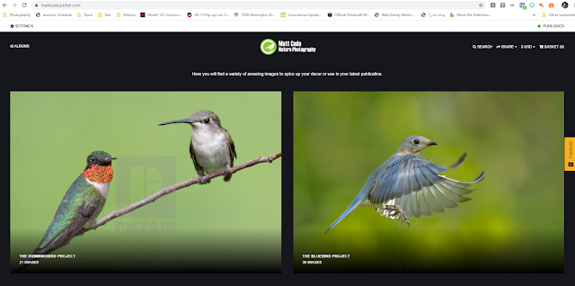 PicFair Review | Matt Cuda Nature Photography Blog