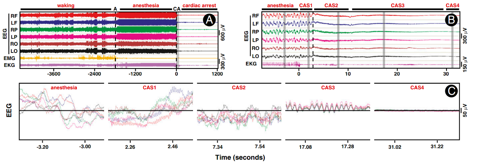 Brain Box: In the News: Death wave