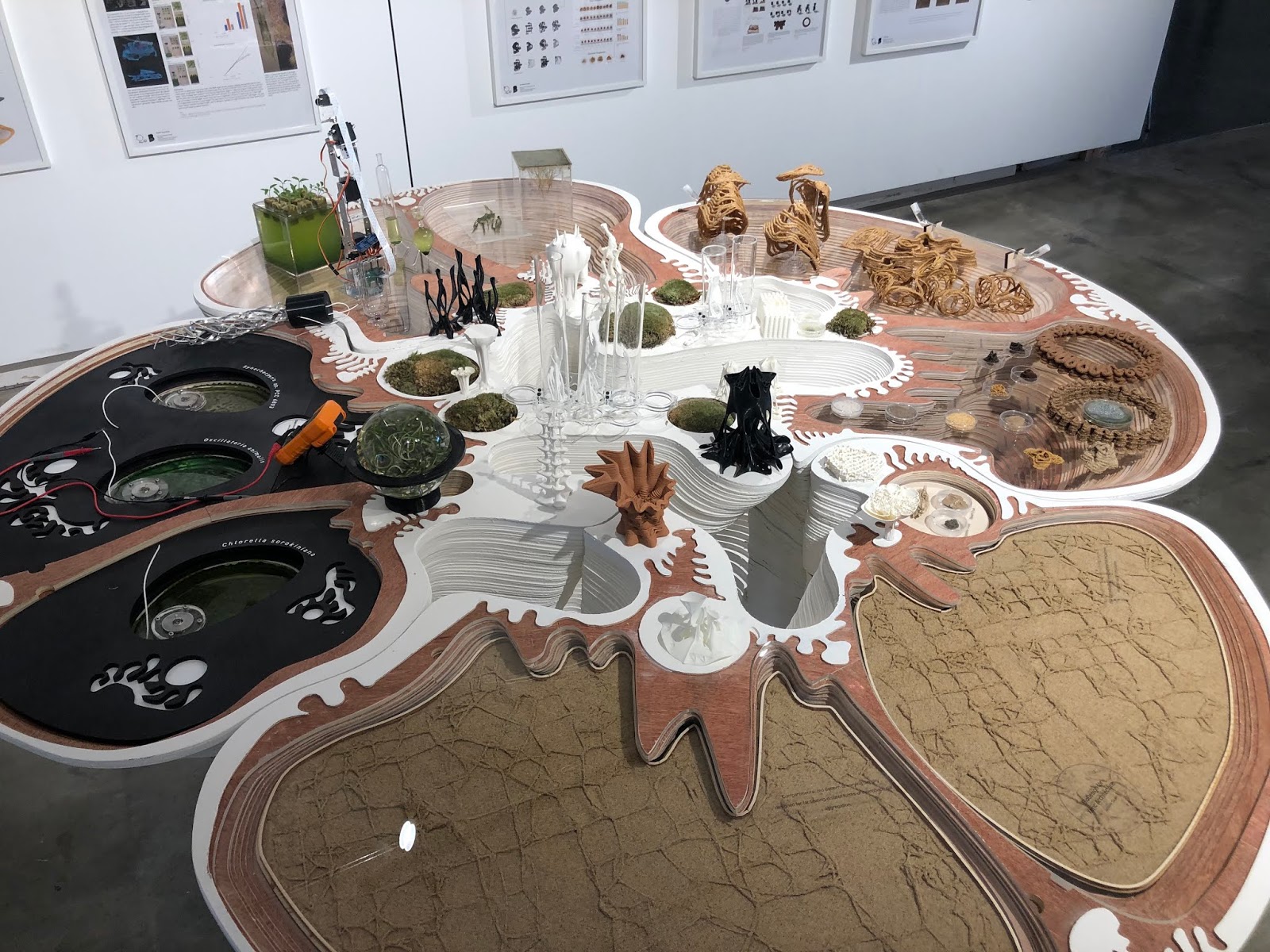 Marcos Cruz Architect