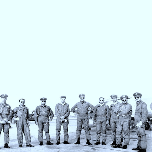 Living Eagle Saiful Azam