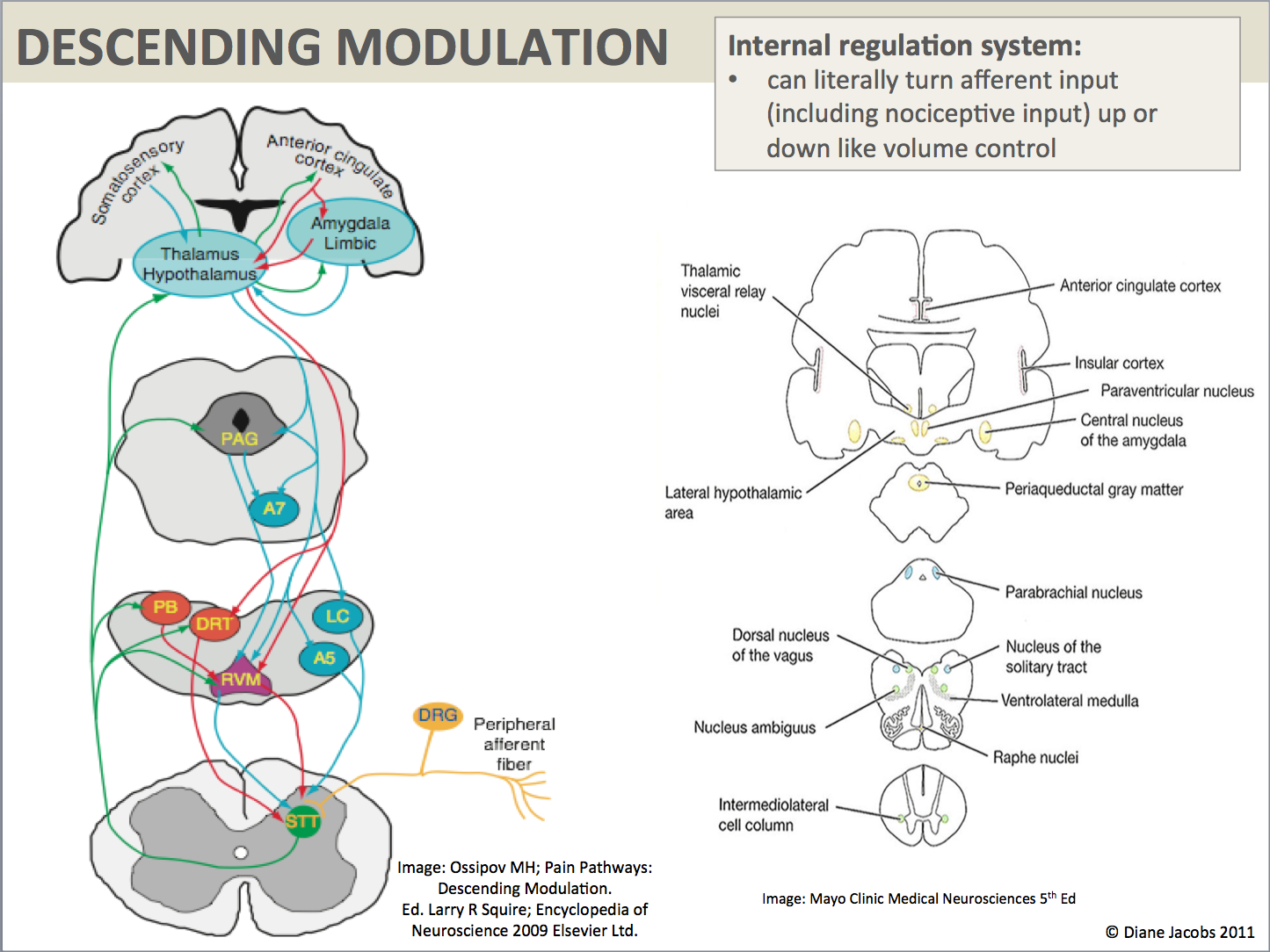 HumanAntiGravitySuit: New treatment encounter IV