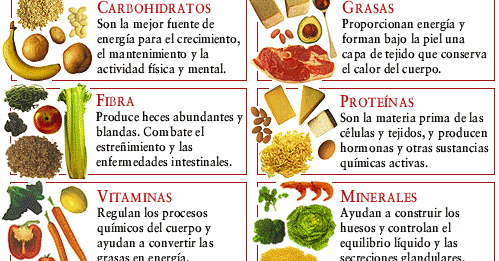 Procesamiento de Productos: Tipos de Nutrientes, su función y lugares ...