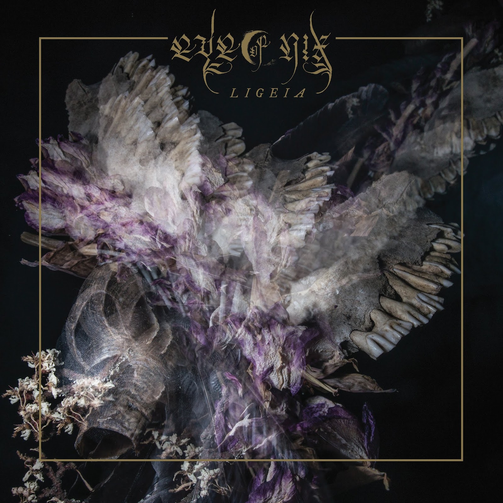 OccultBlackMetalZine: Eye Of Nix/Ligeia/Lupus Lounge/2020 CD Review