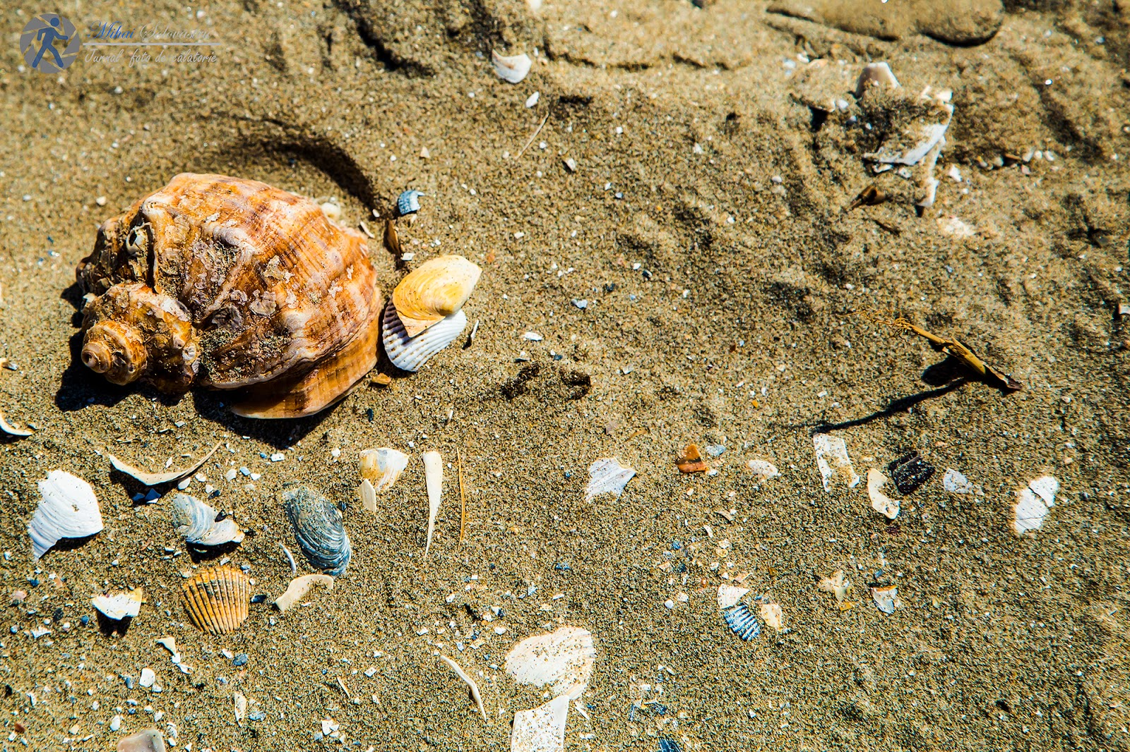 Jurnal foto de calatorie - Landscape photography, Arhitecture, People ...