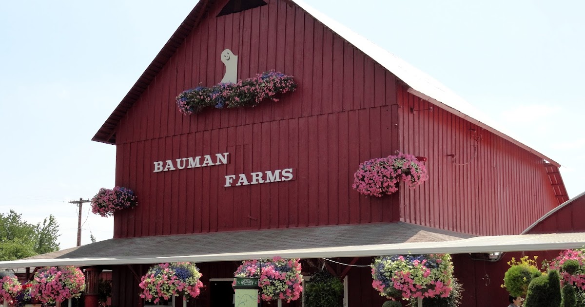 danger garden: Bauman Farms goes a little Flora Grubb