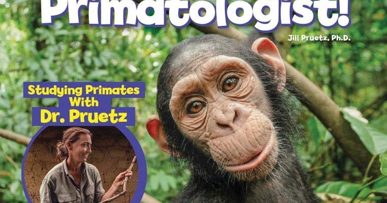 Archimedes Notebook: You Can Be a Primatologist