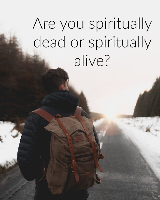 Abundant Family Living: Are you dead or alive? (Ephesians Series)