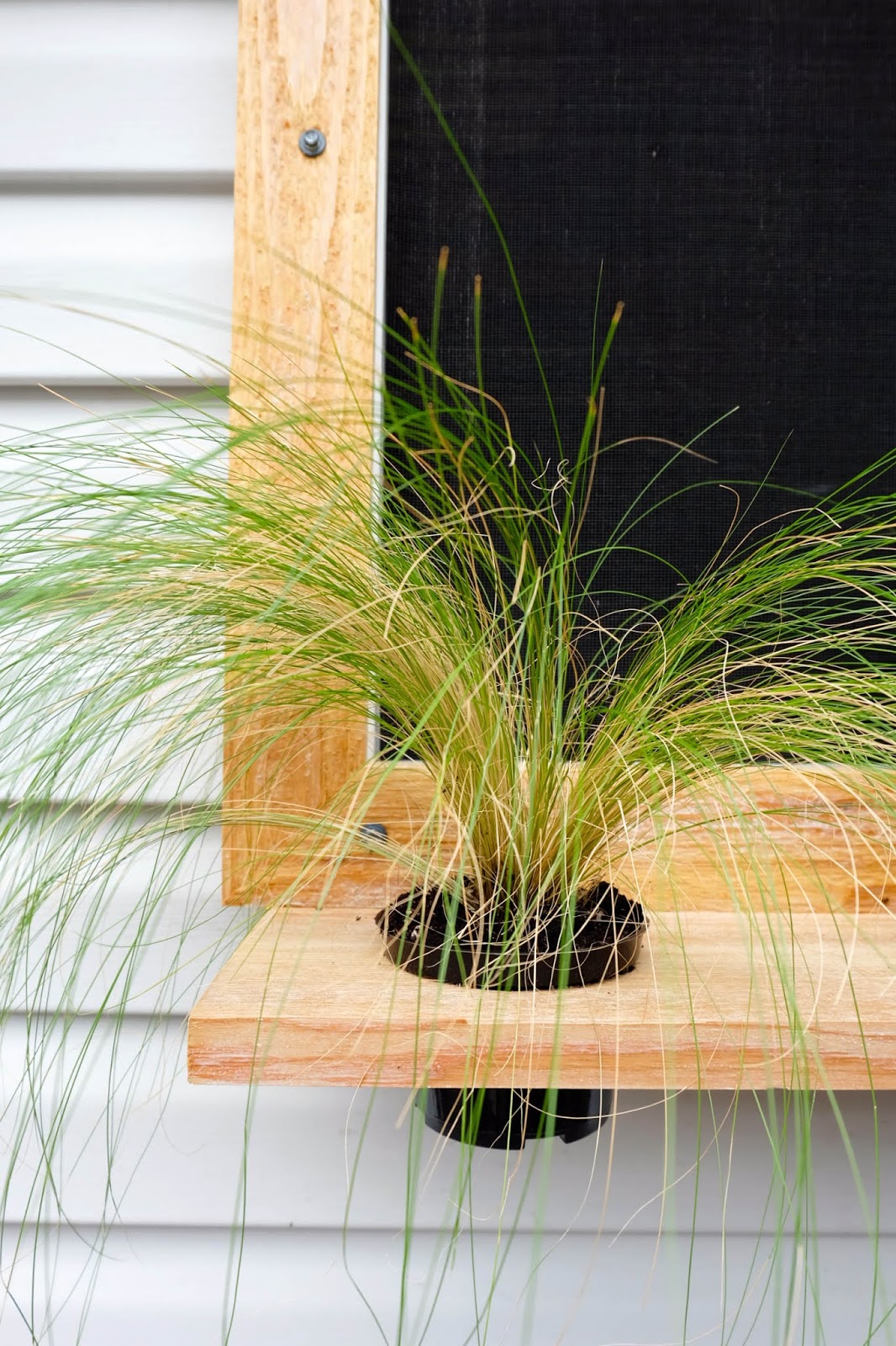 How to: Cedar Window Frames with Floating Shelf Planters. - Flipping ...