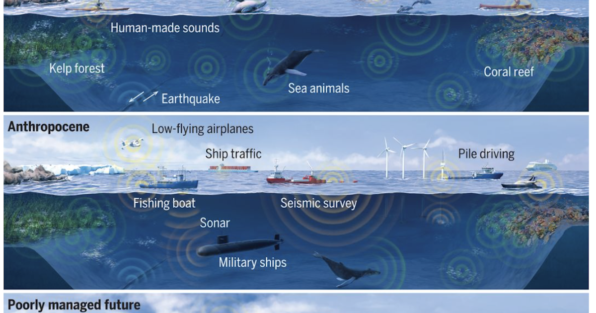 The soundscape of the Anthropocene ocean | #planthro BIBLIO | Platform ...