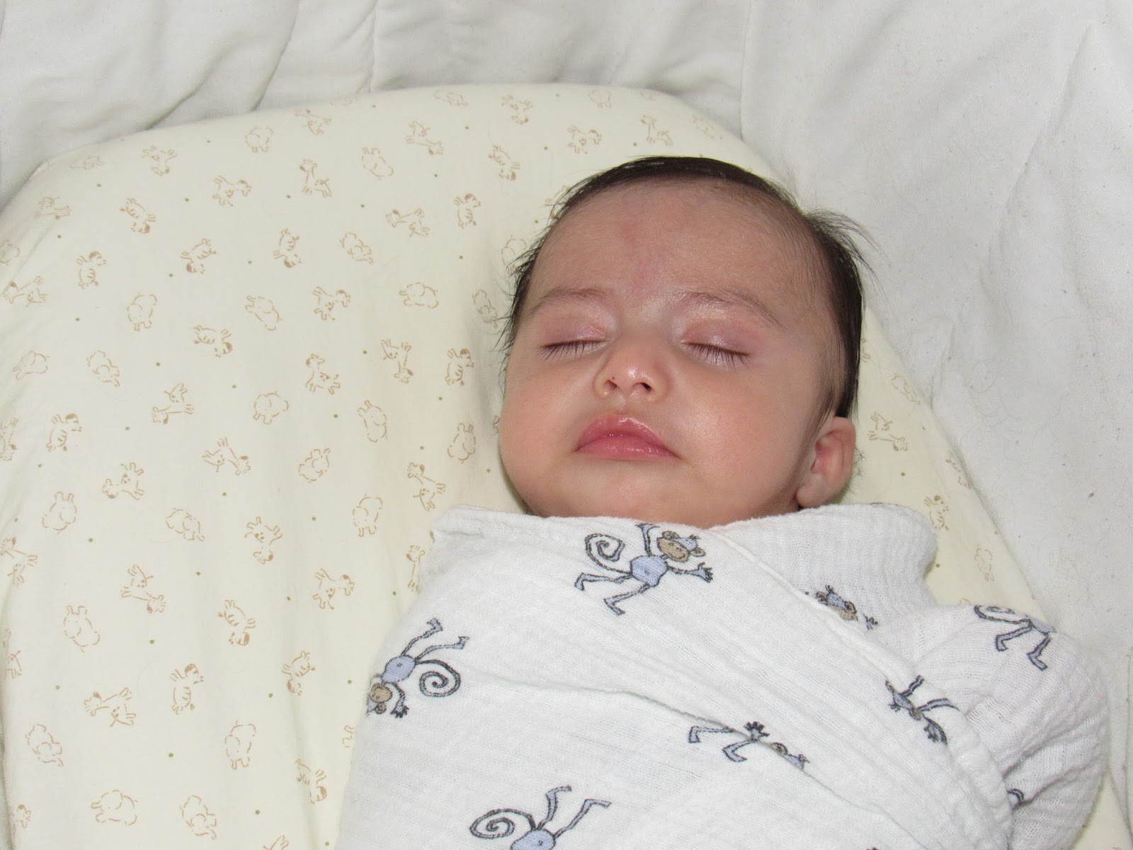 The 6 Month Mark | Writing Mother Fashionista