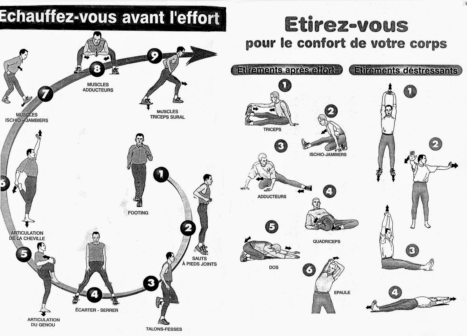 l'echauffement ~ Sport=Santé