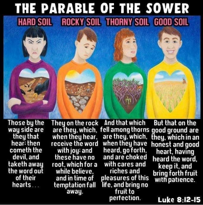 Apostolic Revelation: The Parable of the Sower