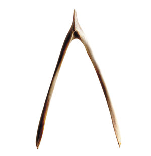 Physics 111: Fundamental Physics I: How to Win the Wishbone Game at ...