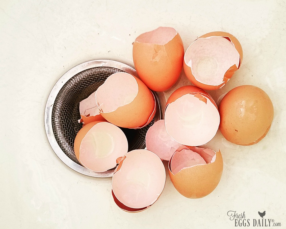What Makes Blue Eggs Blue? - Fresh Eggs Daily® with Lisa Steele