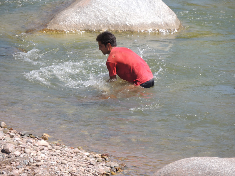 How to bathe a sheep - a step by step guide :D