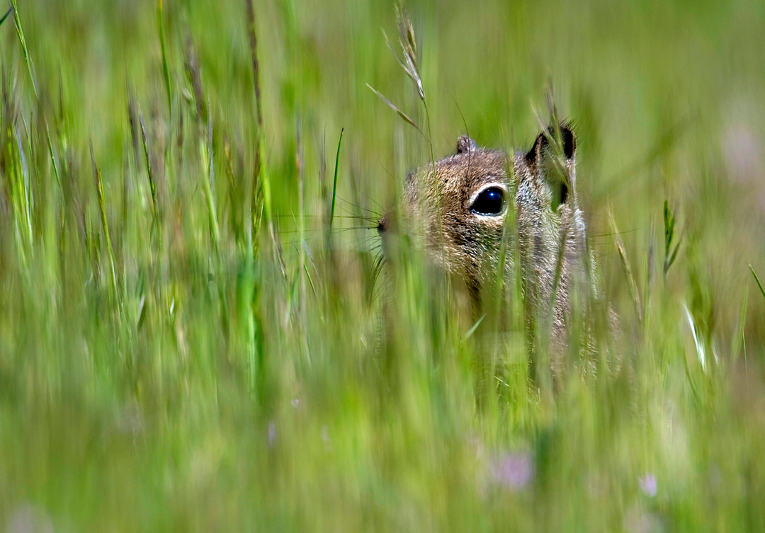Robin Loznak Photography: April 2011
