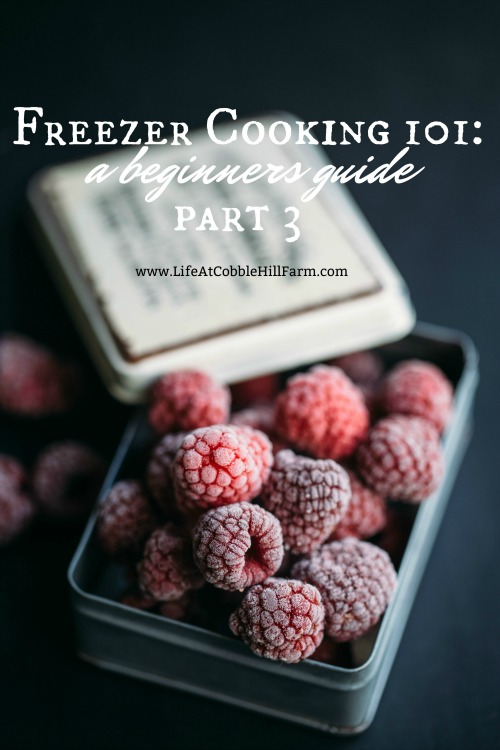 Freezer Cooking 101: Part 3 (Including 30+ Basic Ingredients & Recipes ...