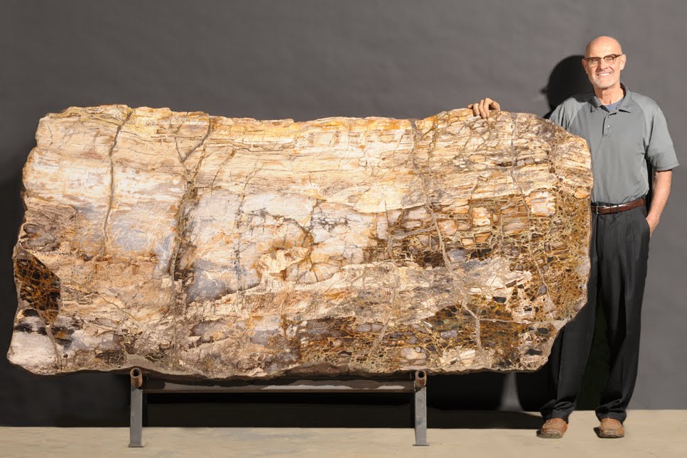 Arizona Geology: Preview of petrified wood coming to the Tucson gem ...