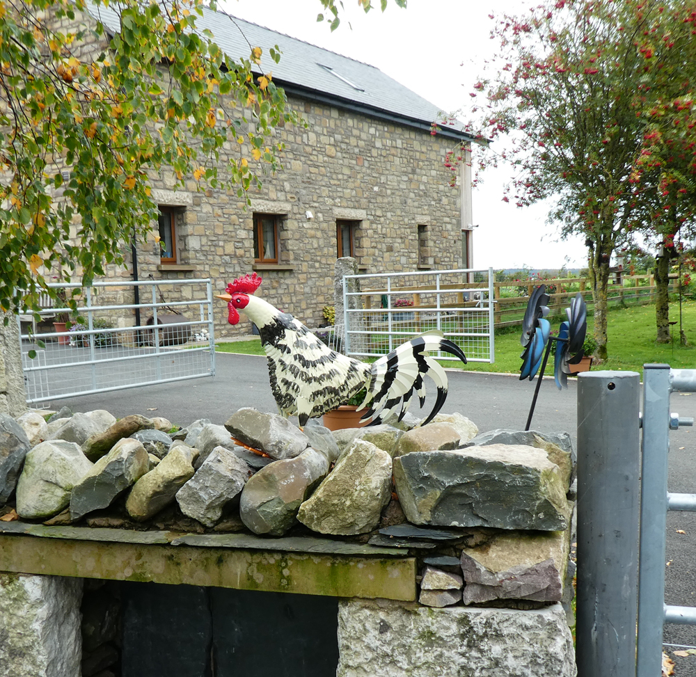 conradwalks: Farleton View