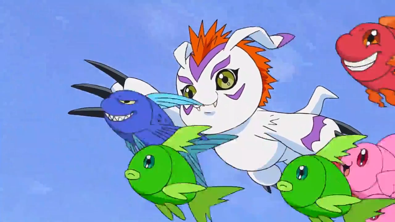 Digi-Arquivo: Gomamon ~ PMD || Acervo de Imagens de Digimon e Pokémon ...