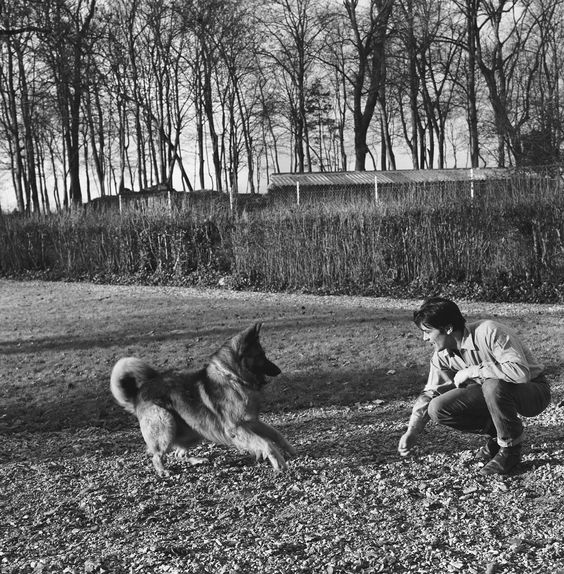 ALAIN DELON: FOTOGRAFÍAS DE WALTER CARONE