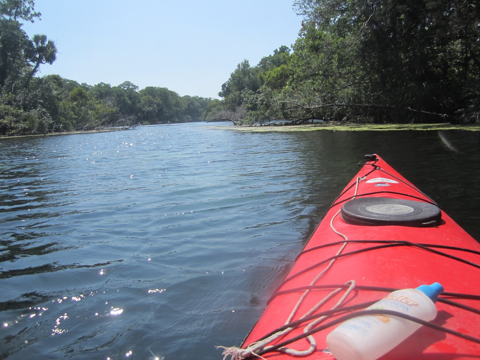 Dave's Yak Tales: Chassahowitzka