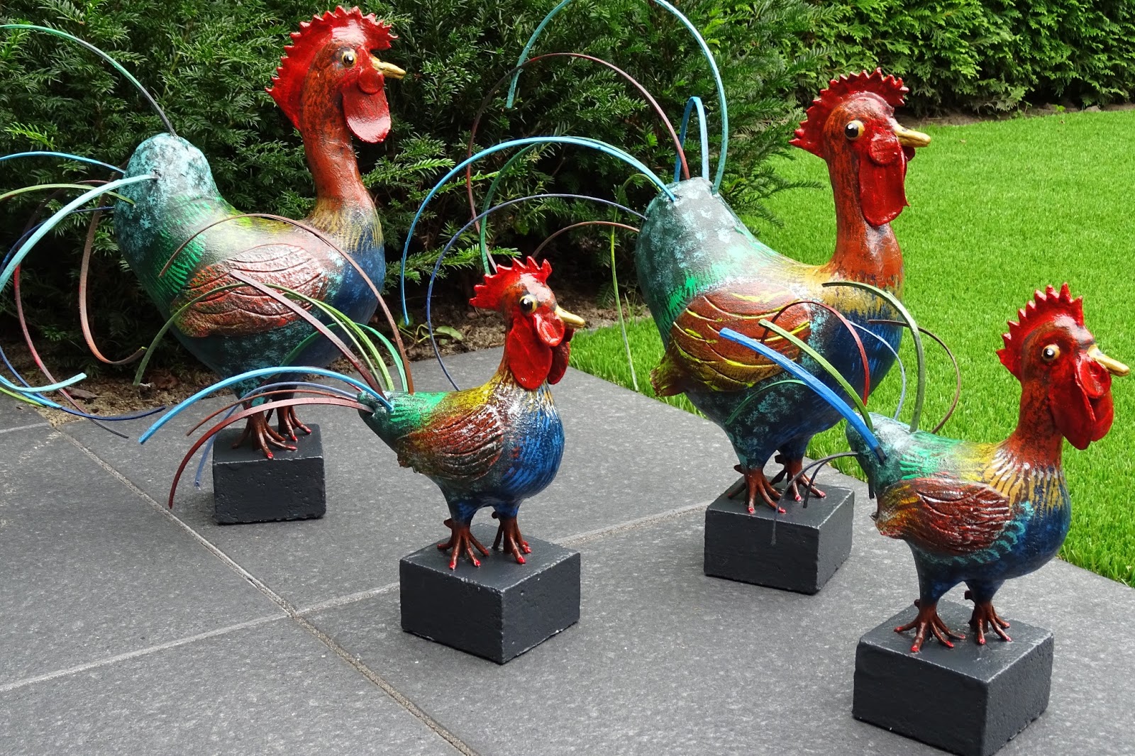 gallerietje: Gekleurde Hanen.