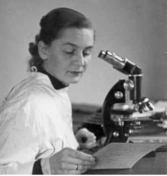 Medical Terms & Сlinical Сases : Dabska's tumour