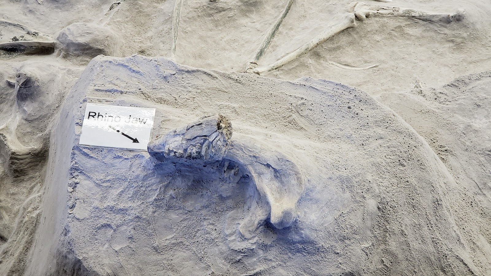 History and Culture by Bicycle: Ashfall Fossil Beds State Historical ...