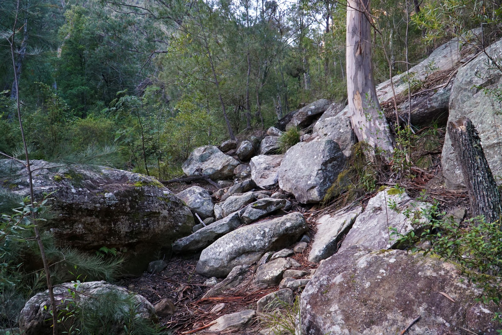 Grose Valley (NSW) - Acacia Flats to Blackheath ~ The Long Way's Better