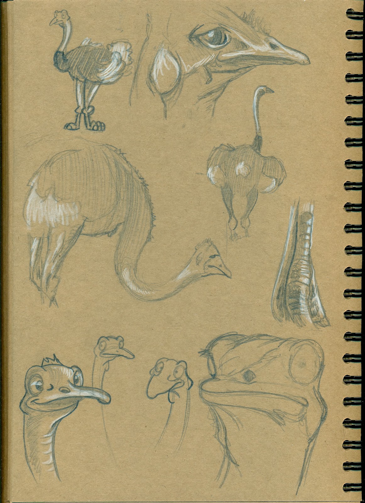 It is strong, the blog is!!!: Sketchbook Study Animals