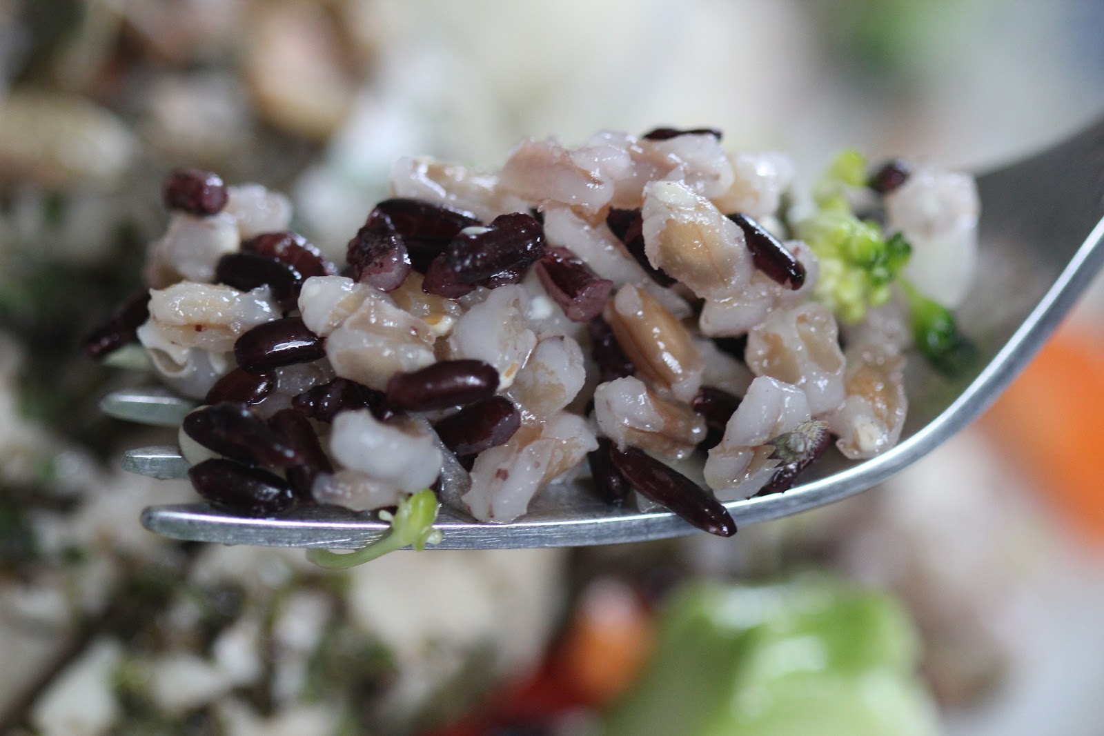 Korsholms Krea Hjørne: Kyllingebryst med krydderurter og salat med ...