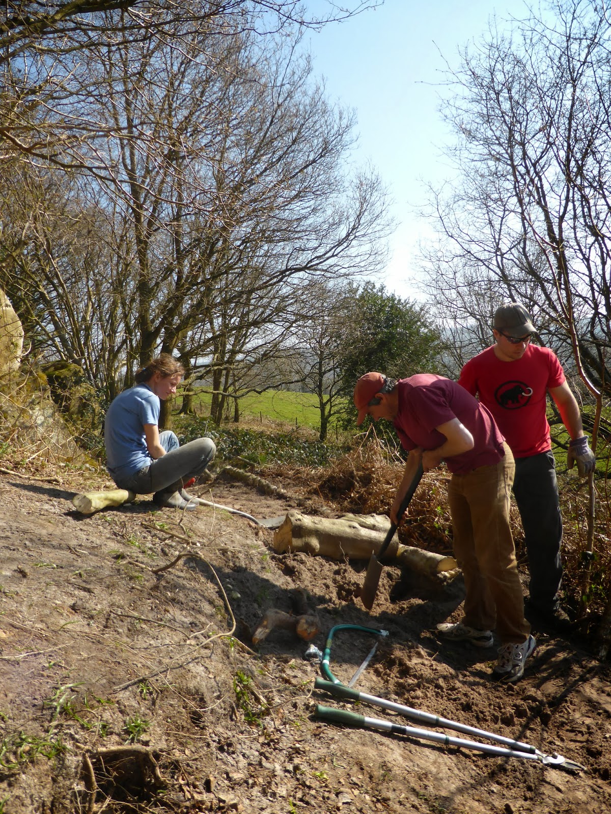 Southern Sandstone Climbs: Stone Farm - Ground Work Update