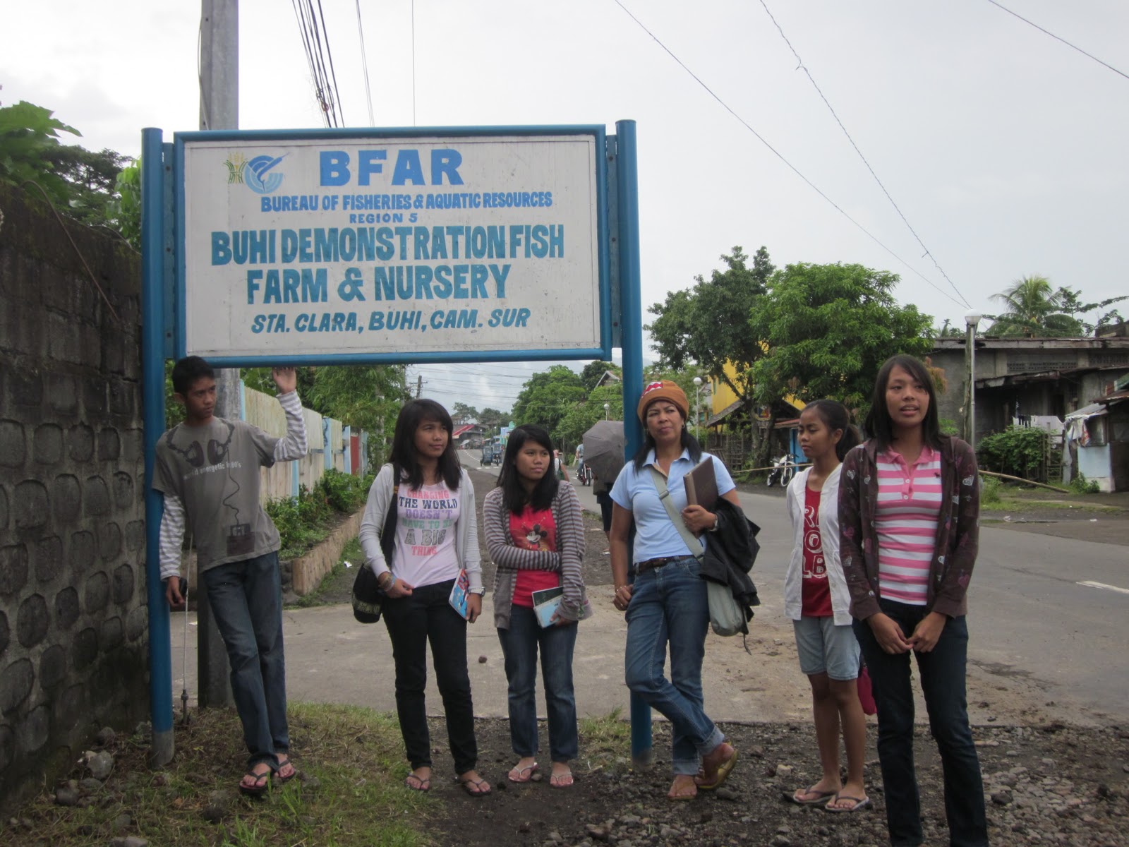 Sinarapan sa Buhi: Photo Gallery